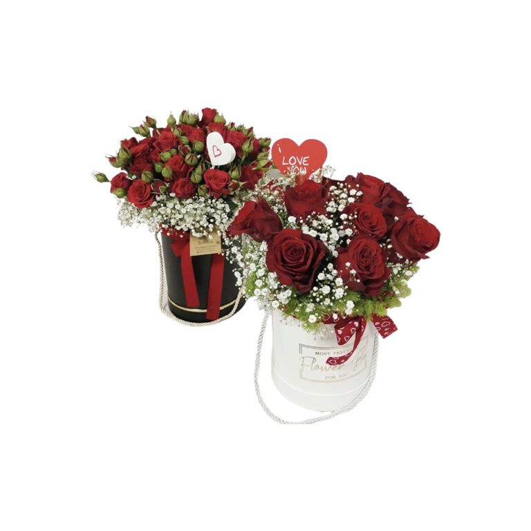 Premium Red Roses or Mini Roses Classic Romance Box - Robelina Gardens ...